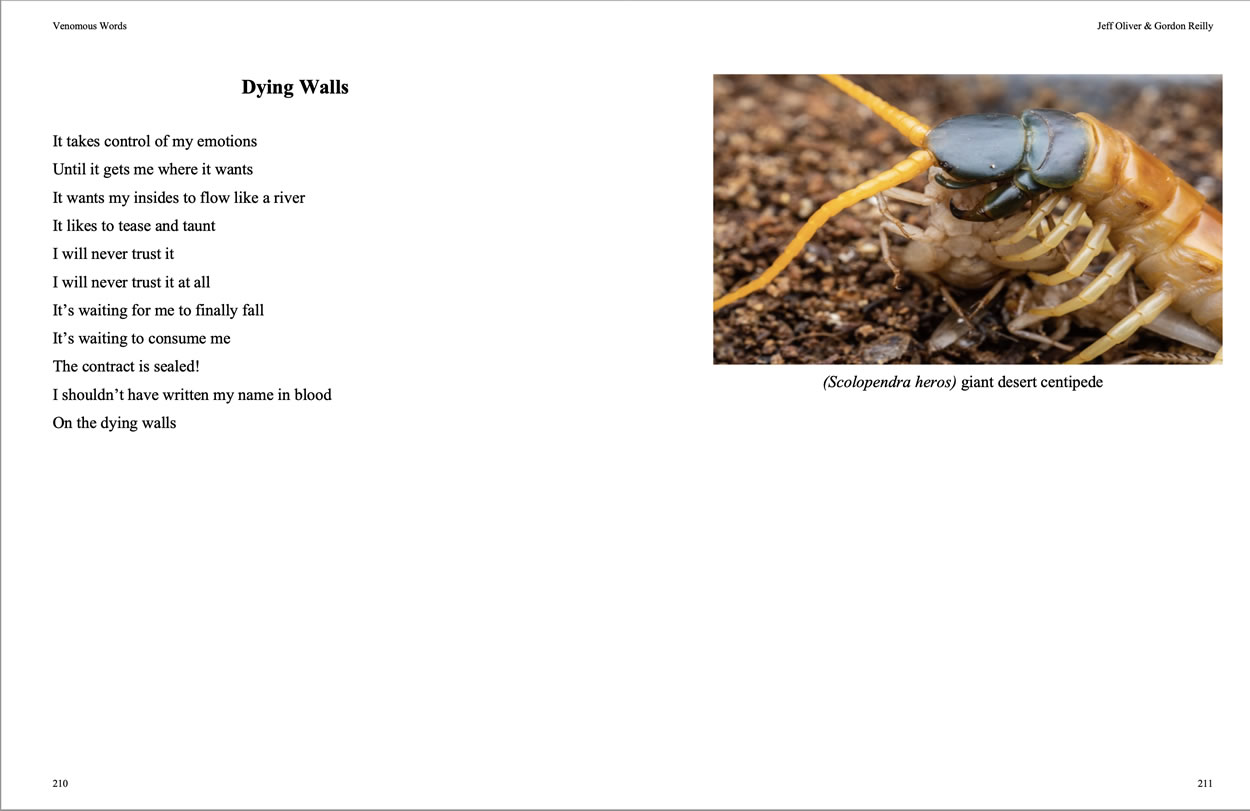 VENOMOUS WORDS: Sumptuous Macro Photography by Gordon Reilly and Poetry ...