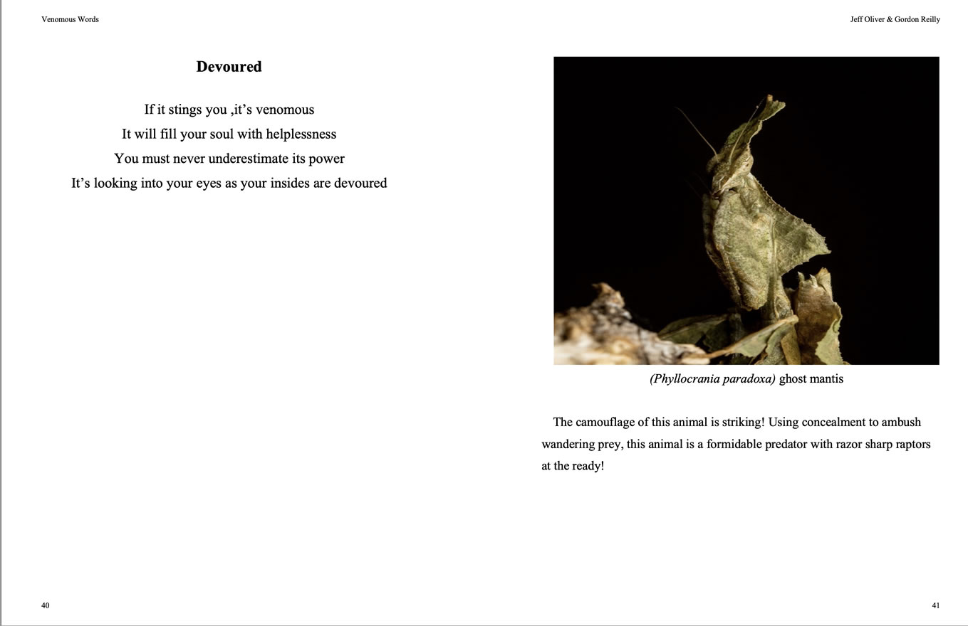 VENOMOUS WORDS: Sumptuous Macro Photography by Gordon Reilly and Poetry ...